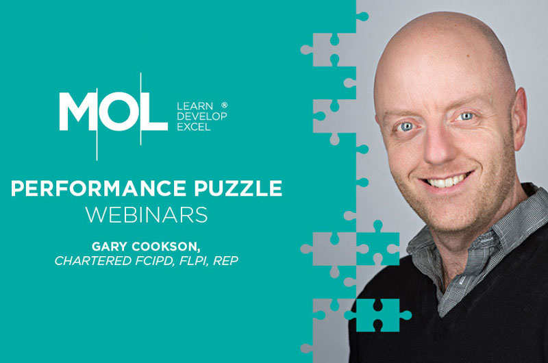 Performance Puzzle webinar series