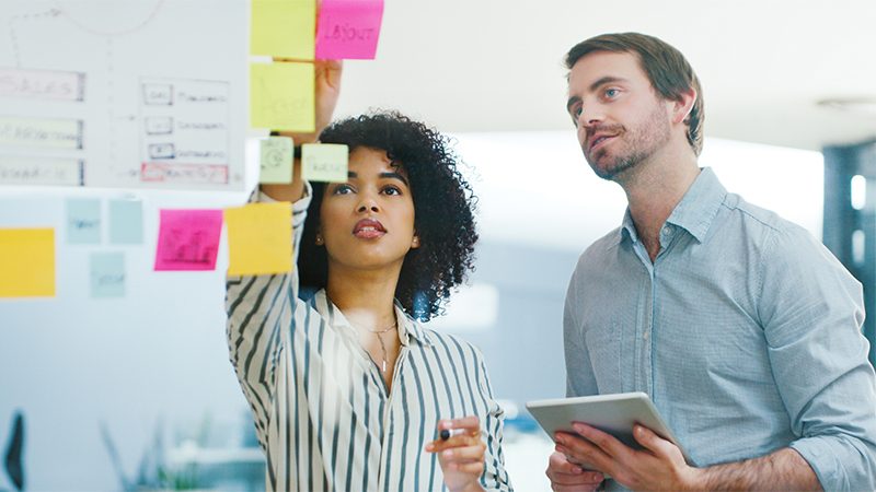 What is the Project Management APM and What Does It Do?